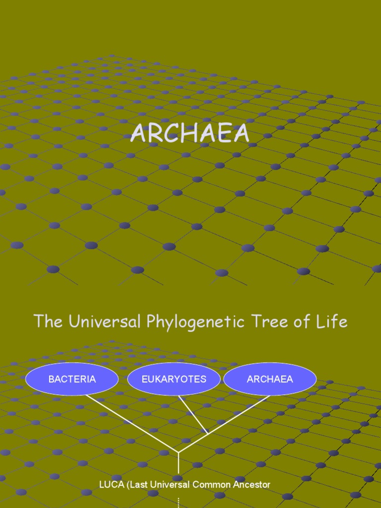 Archaea | PDF