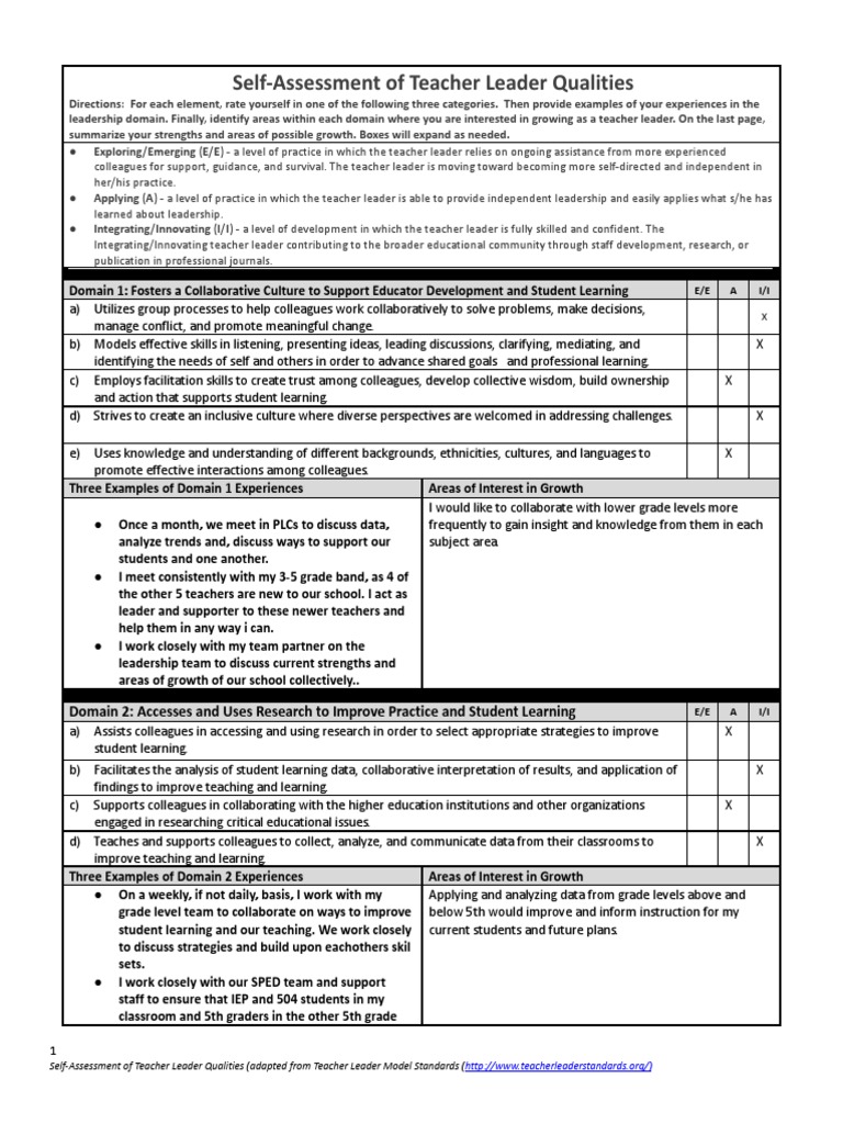 Teacher Leader Self Assessment Erin Jackson | PDF | Teachers | Leadership