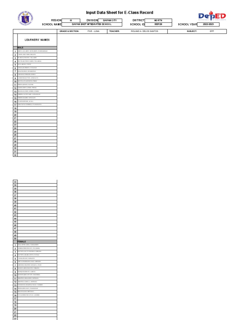 Grade 5 Class Record: Input Data Sheet Provides Insights into Students ...