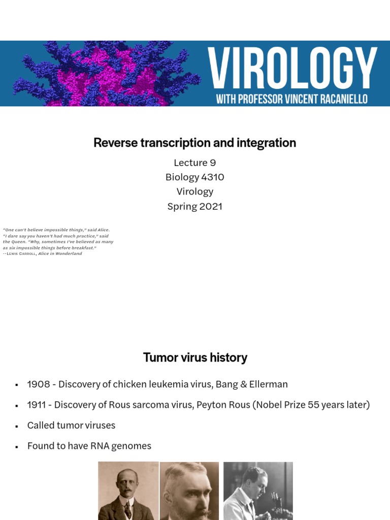 Lecture 9 - Reverse Transcription and Integration | PDF | Reverse Transcriptase | Retrovirus
