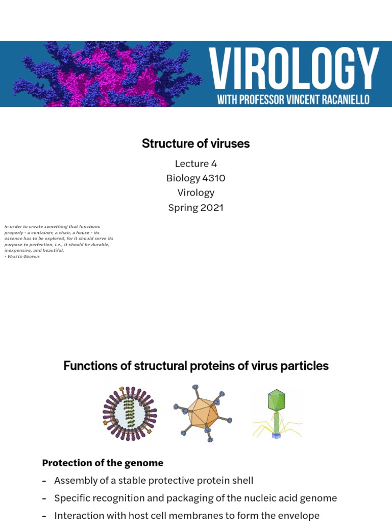 Lecture 4 - Structure of Viruses | PDF | Virus | Virology