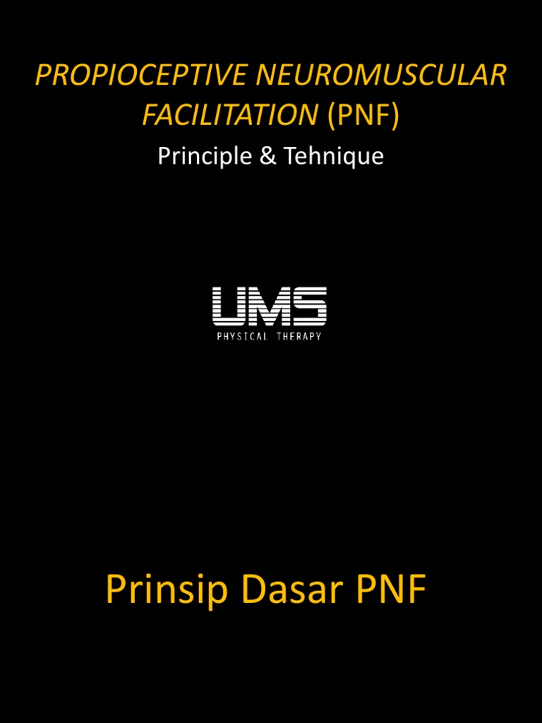 PNF Priciple Tehnique | PDF