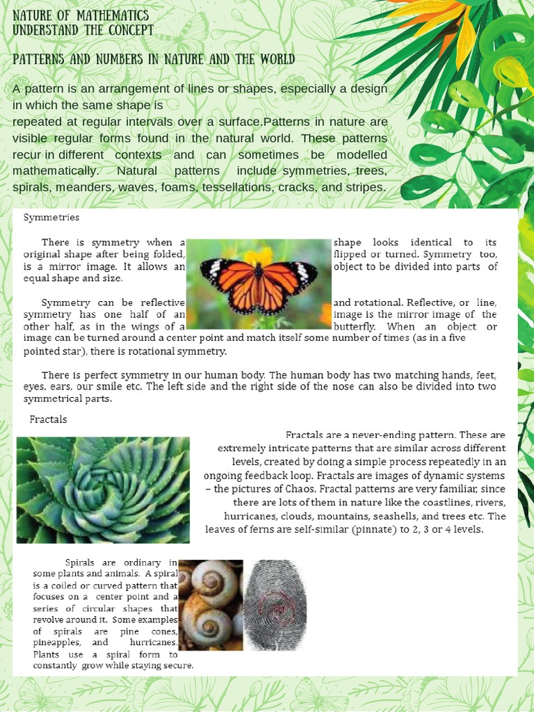 Nature of Mathematics | PDF