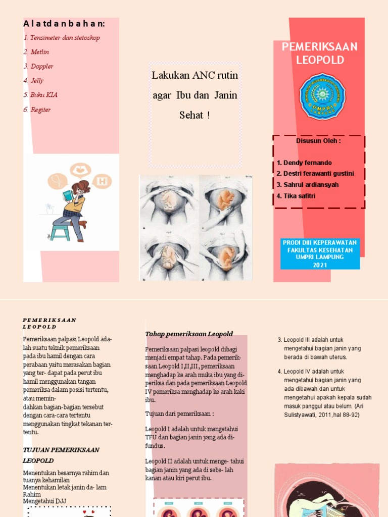 Leaflet Pemeriksaan Leopold | PDF