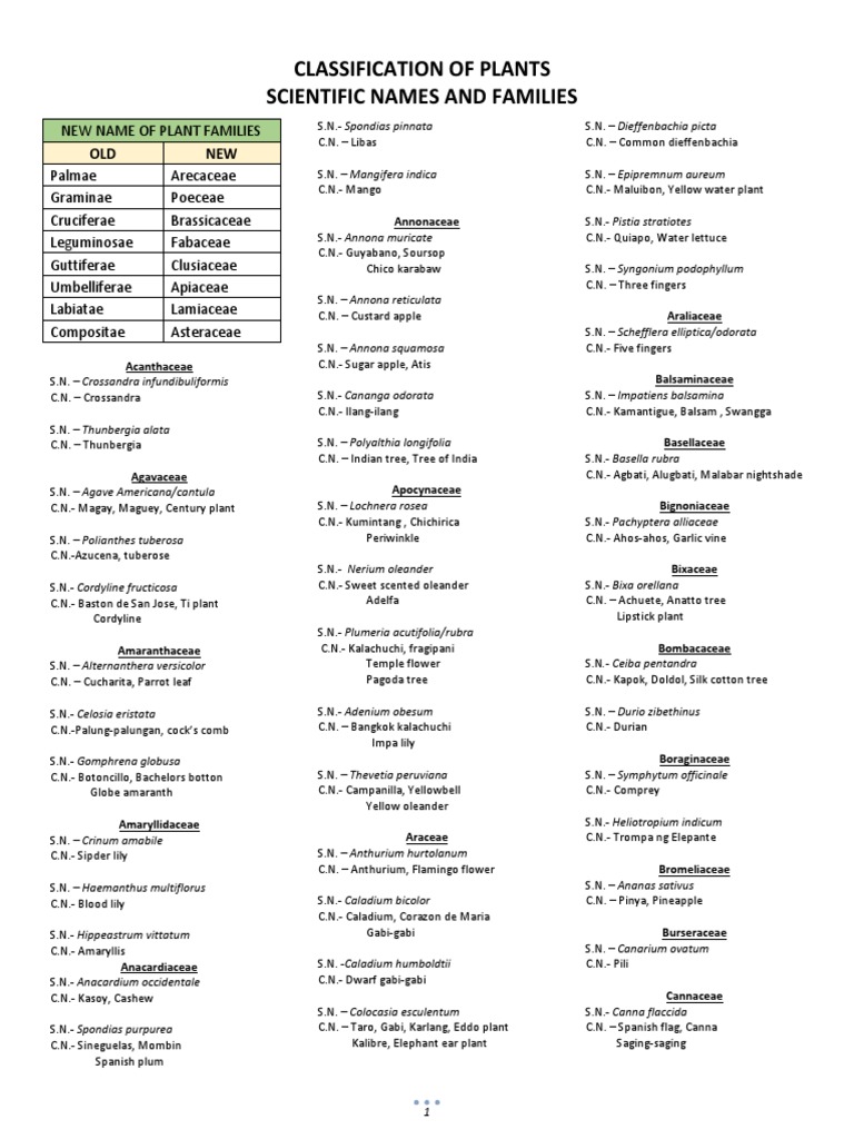 Scientific Names | Download Free PDF | Plants | Botany