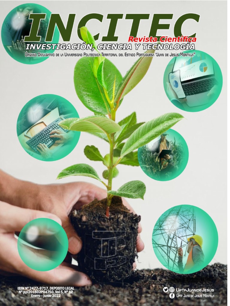 Revista INCITEC Número XII | PDF