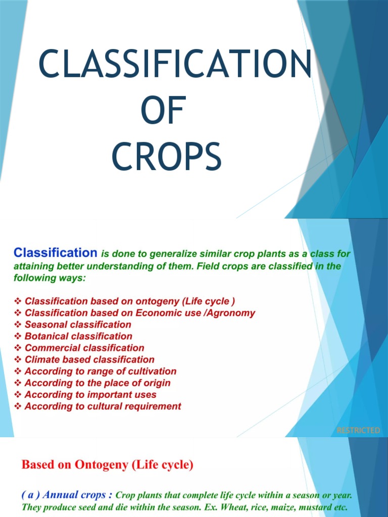 A Concise Guide To Crop Classification Organizing Agricultural Produce