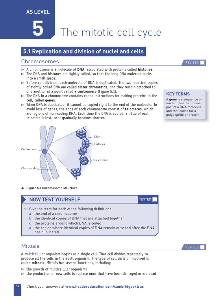 Extracted Pages From Cambridge International AS and A Level Biology ...