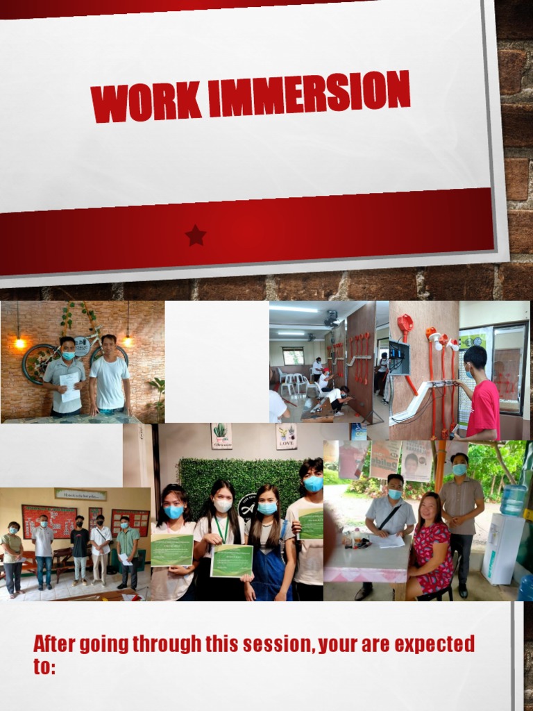 Orientation On Work Immersion | PDF