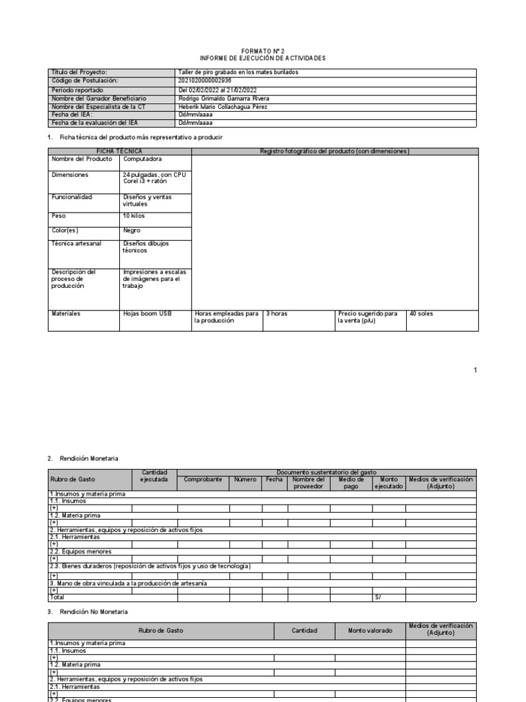 Formato 2 | PDF | Informática