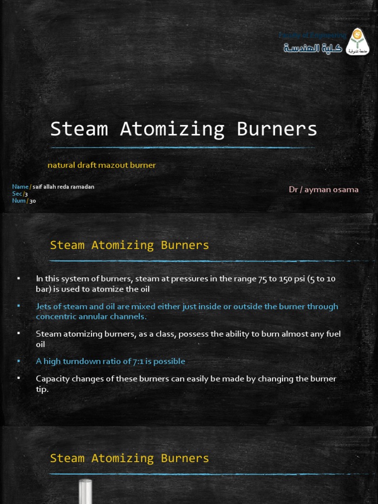 Steam Atomizing Burners | PDF
