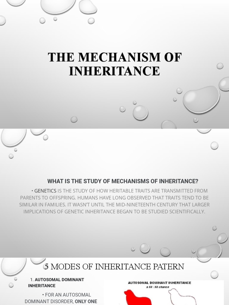 Mechanics of Inheritance | PDF