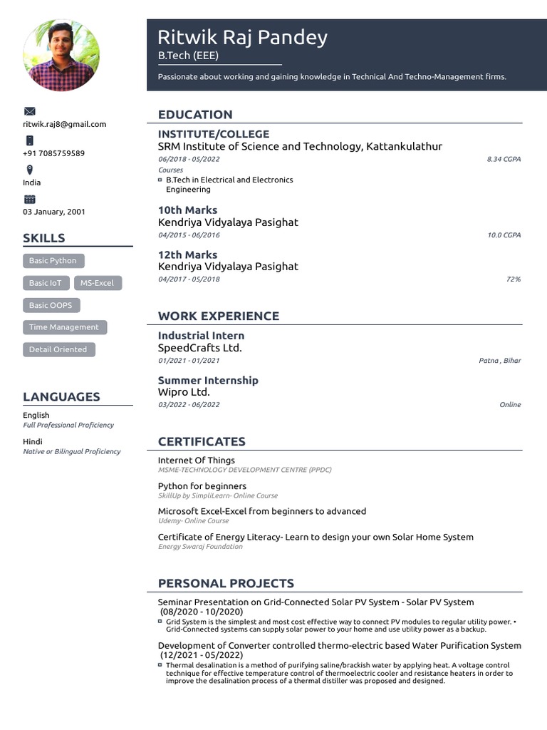 Ritwik Raj Resume | Download Free PDF | Photovoltaics | Solar Power