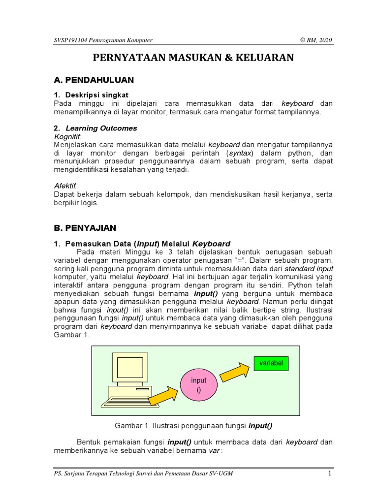 Pernyataan Input Dan Output | PDF