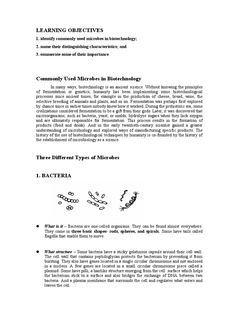 Biotechnology Lecture - Commonly Used Microbes | PDF