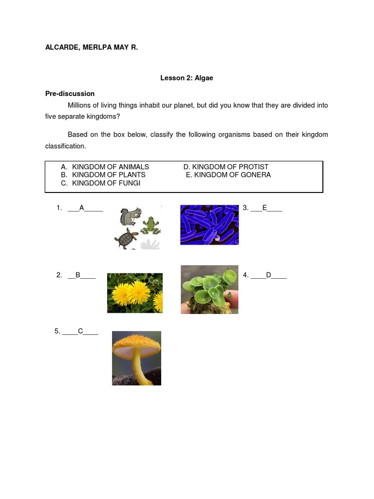 Chapter 3 Lesson 2 Algae | PDF | Algae | Sexual Reproduction