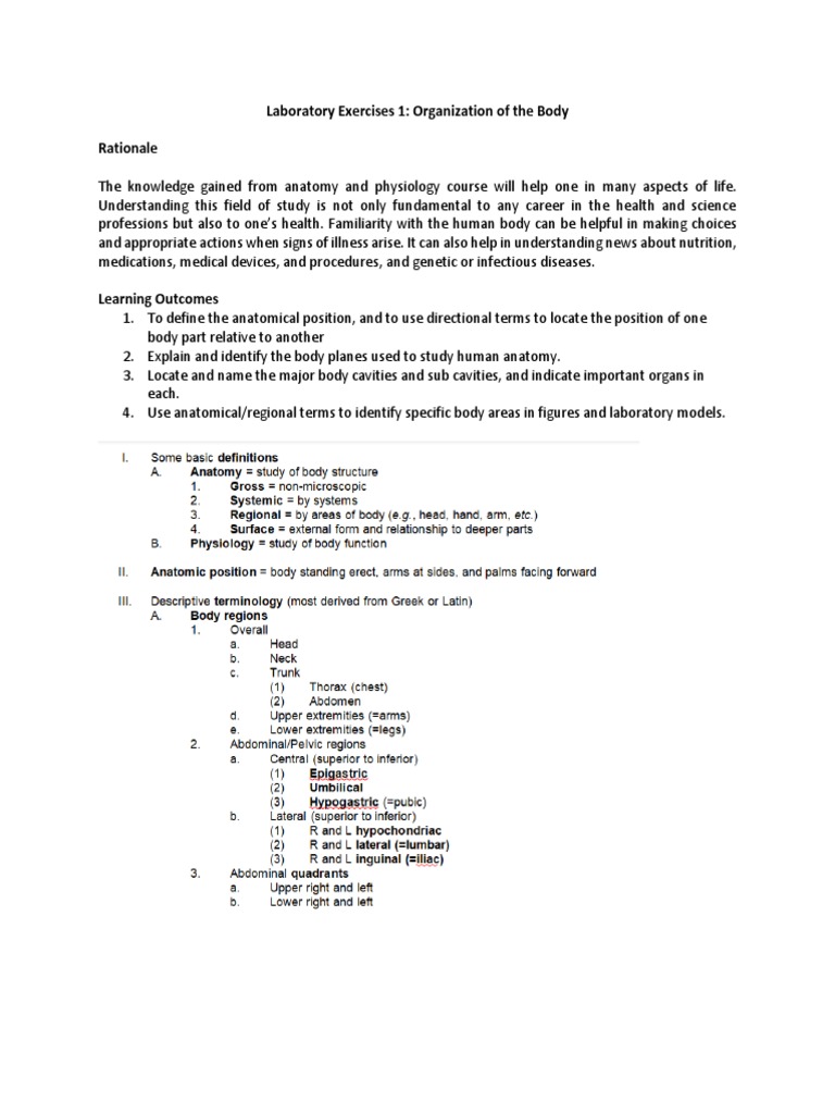 Laboratory Exercises 1 For Ana & Physio | PDF
