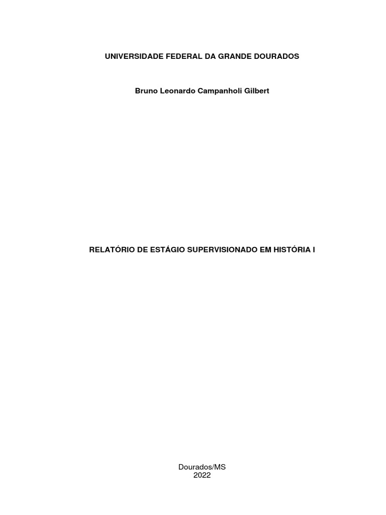 Relatório Final Bruno 1 | PDF