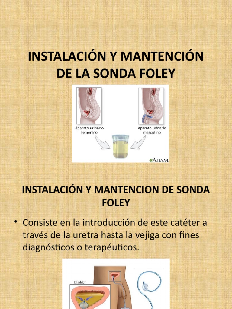Instalación y Mantencion de Sonda Foley | PDF | Ciencia y matemáticas
