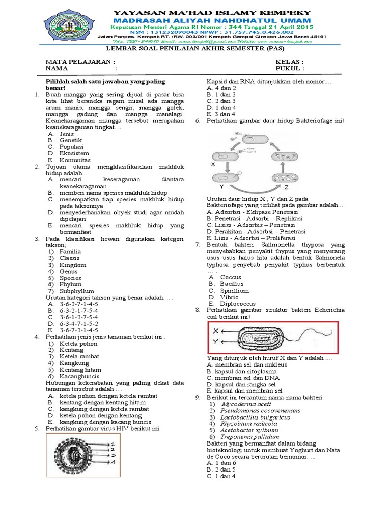 SOAL BIO 10 Ok | PDF
