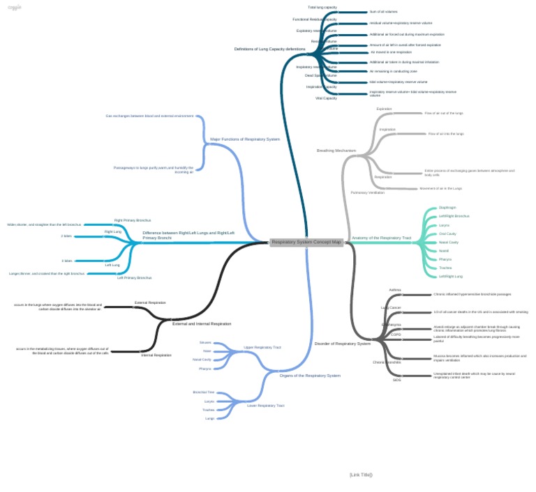 Respiratory System Concept Map Overview | PDF | Respiratory Tract | Lung