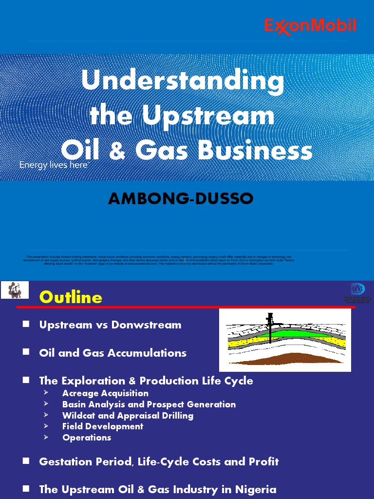 Upstream Oil & Gas Business Overview | PDF | Petroleum Reservoir | Oil Well