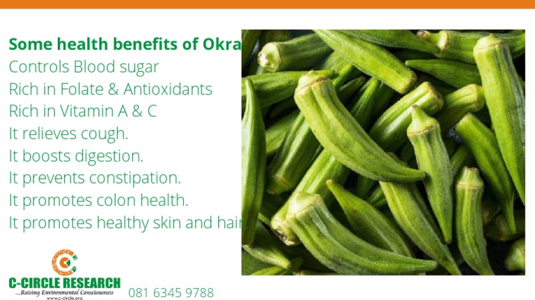 Benefits of Okra | PDF | Lifestyle
