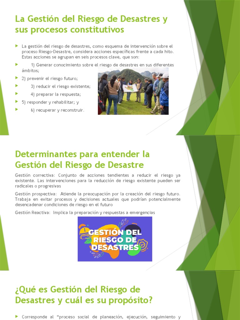 La Gestión Del Riesgo de Desastres y Sus | PDF | Riesgo | Reducción de Desastres