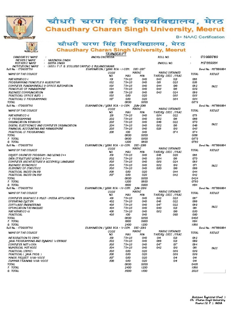 Anshu | PDF | Software Engineering | Computer Programming