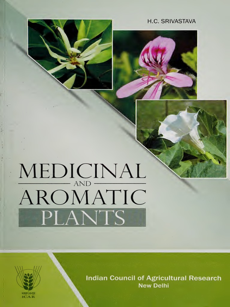 Medicinal and Aromatic Plants of India | Download Free PDF | Sowing | Seed
