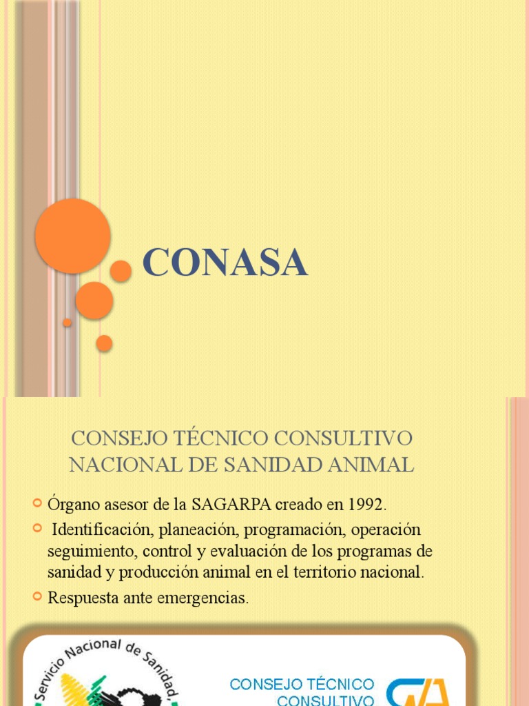 CONASA | PDF