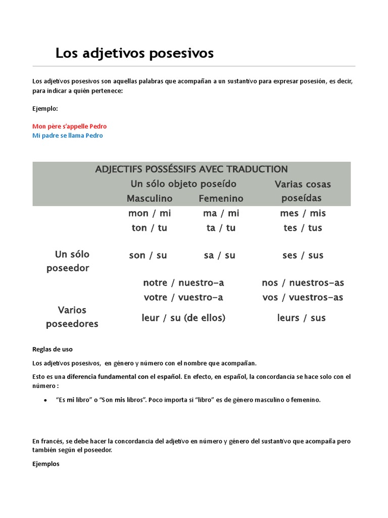 Los Adjetivos Posesivos | PDF | Adjetivo | Tipología Lingüística