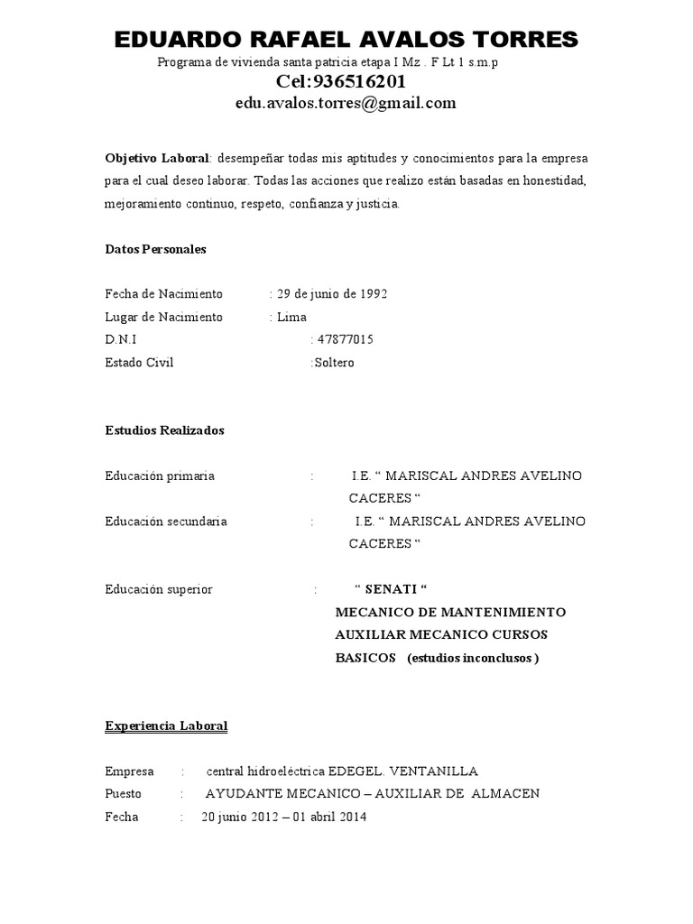 CV Rafael AVALOS | PDF