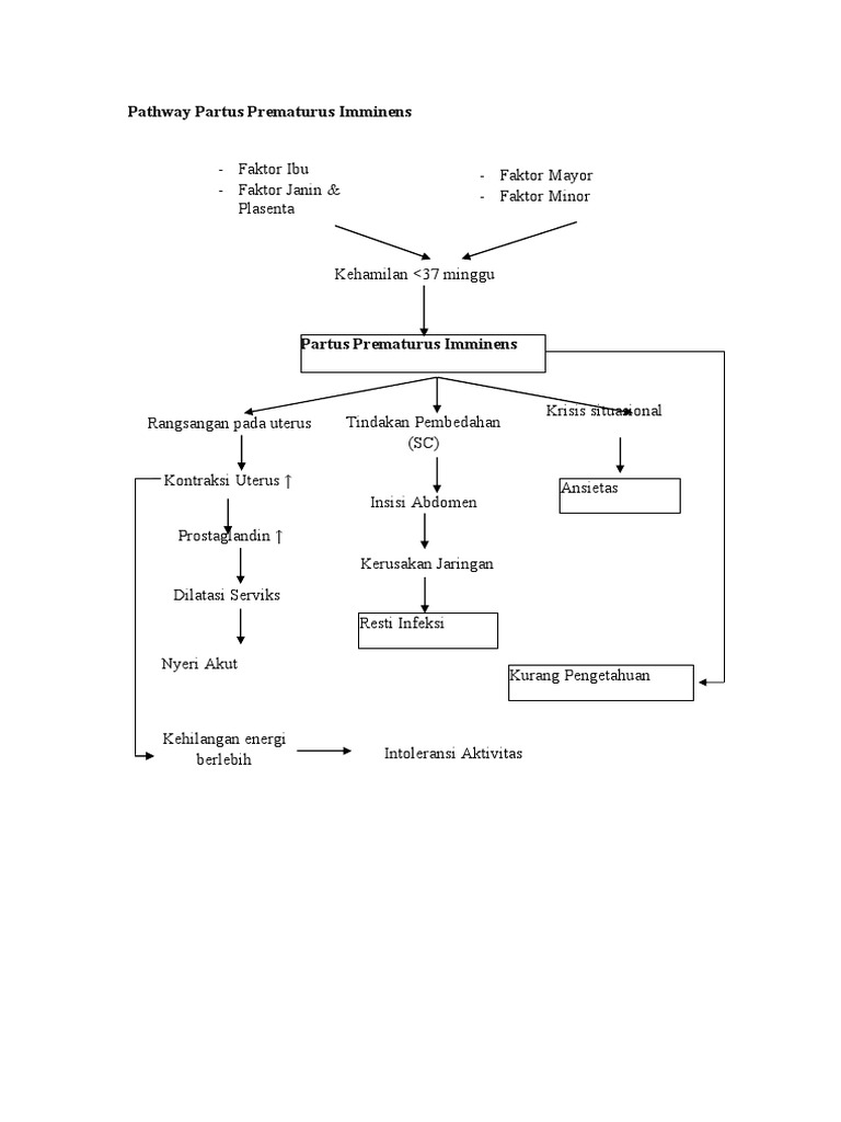 Pathway Partus Prematurus | PDF