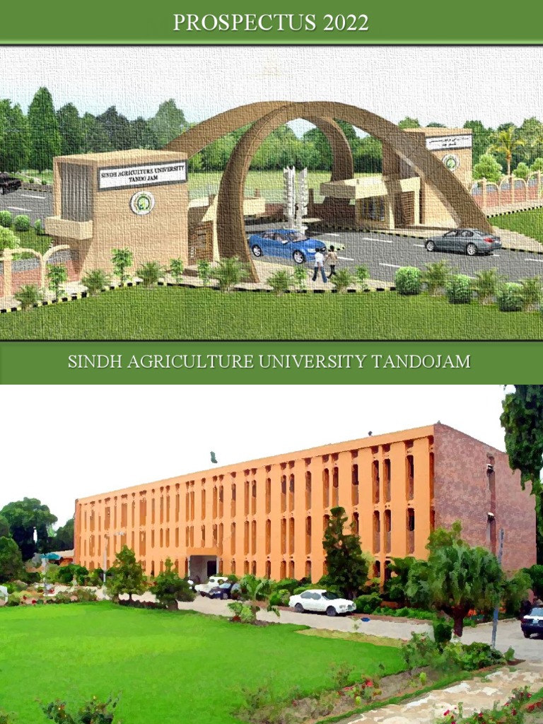 Undergraduate Prospectus 2022 23 02 | PDF