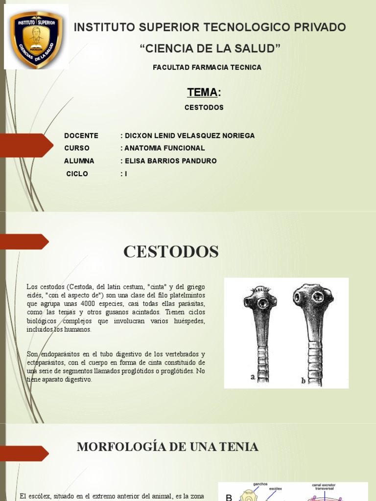 Cestodos - Ok23 | PDF