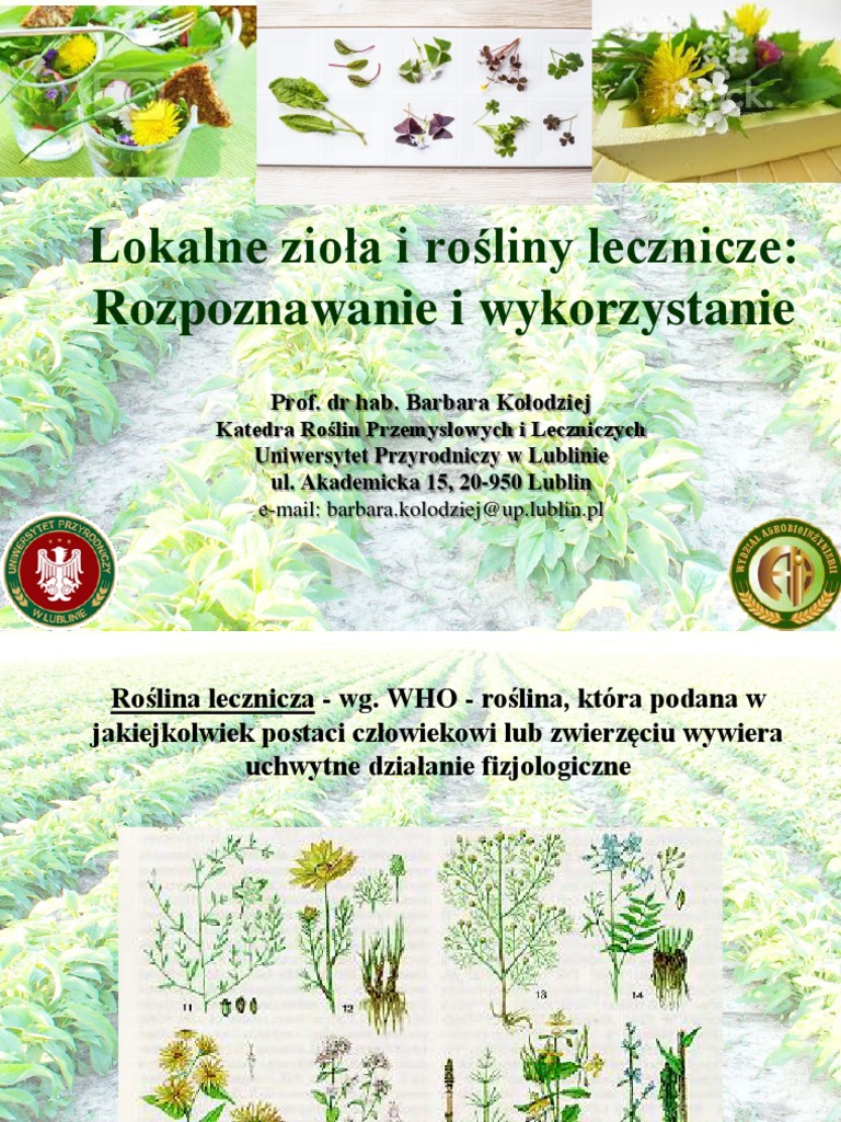 Lokalne Ziola I Rosliny Lecznicze | PDF