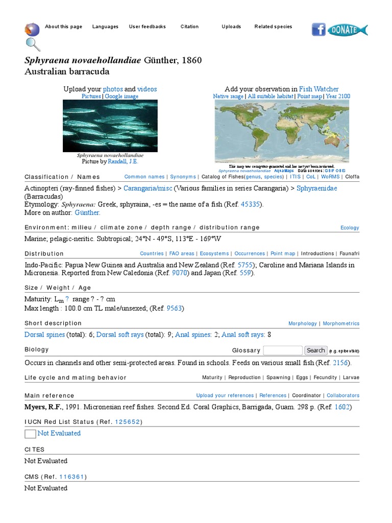 Australian Barracuda Species Profile | PDF | Spawn (Biology) | Fish