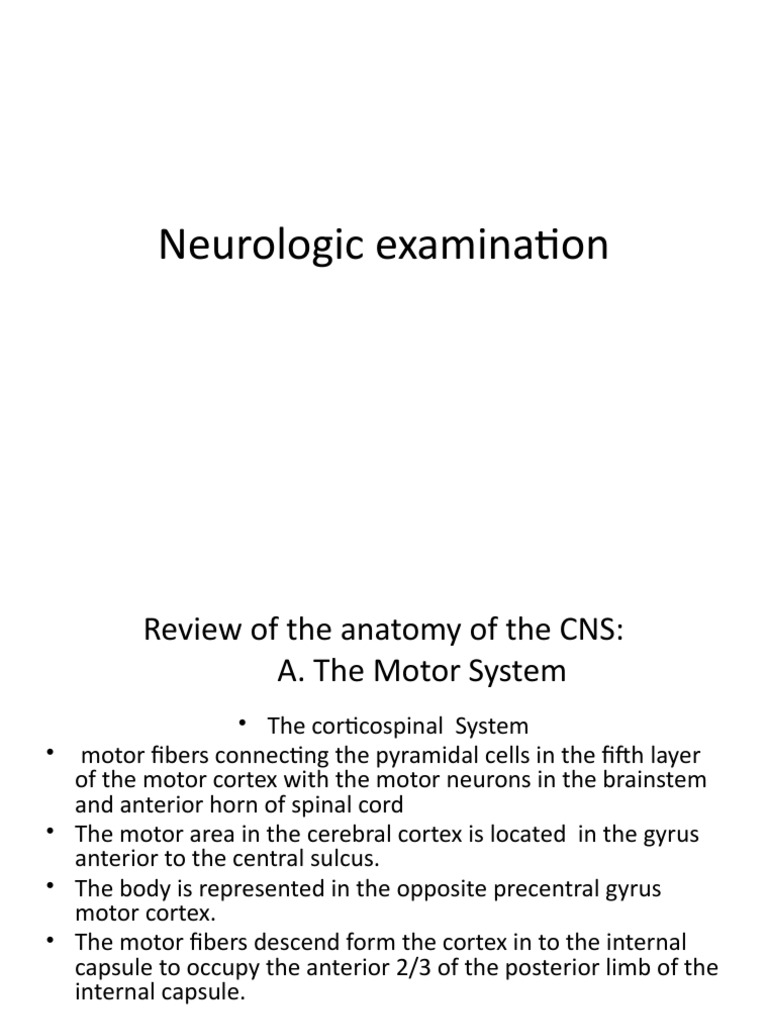 Neurologic Examination | PDF | Spinal Cord | Motor Neuron