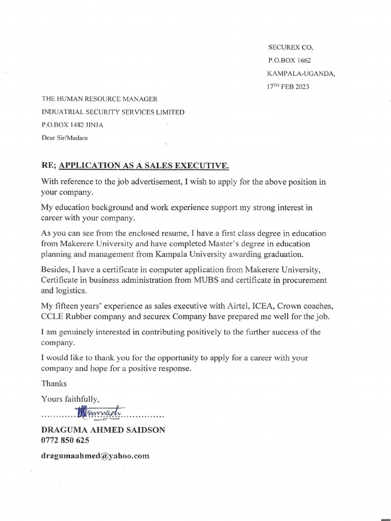 Sales Executive Application | PDF