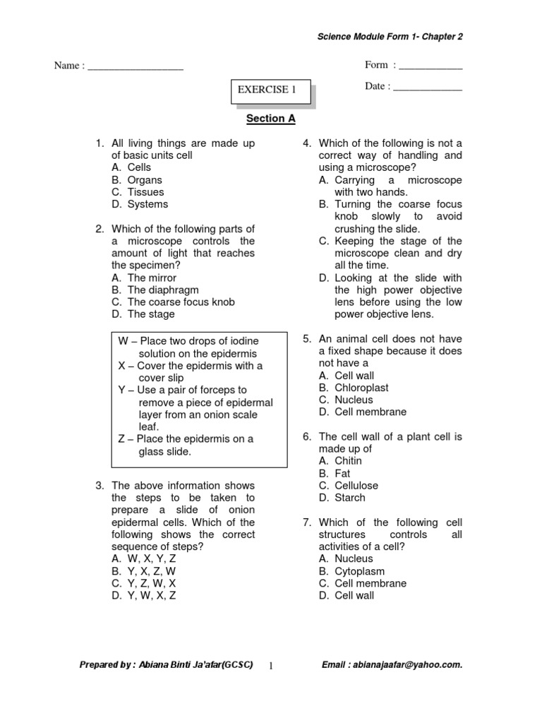 Exercise Cell As The Basic Unit of Living Things | PDF | Tissue ...