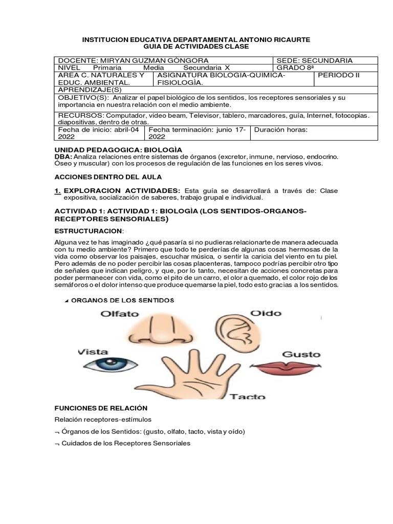 Guìa de Biologìa Quìmica Fisiologìa Periodo II Grado Octavo 2022 Miryan Guzmàn G. | PDF ...