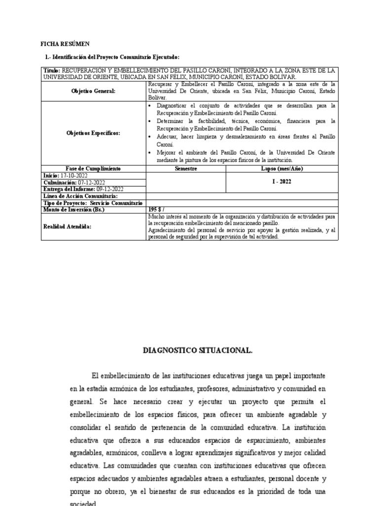 Resumen Informe Servicio Comunitario | PDF