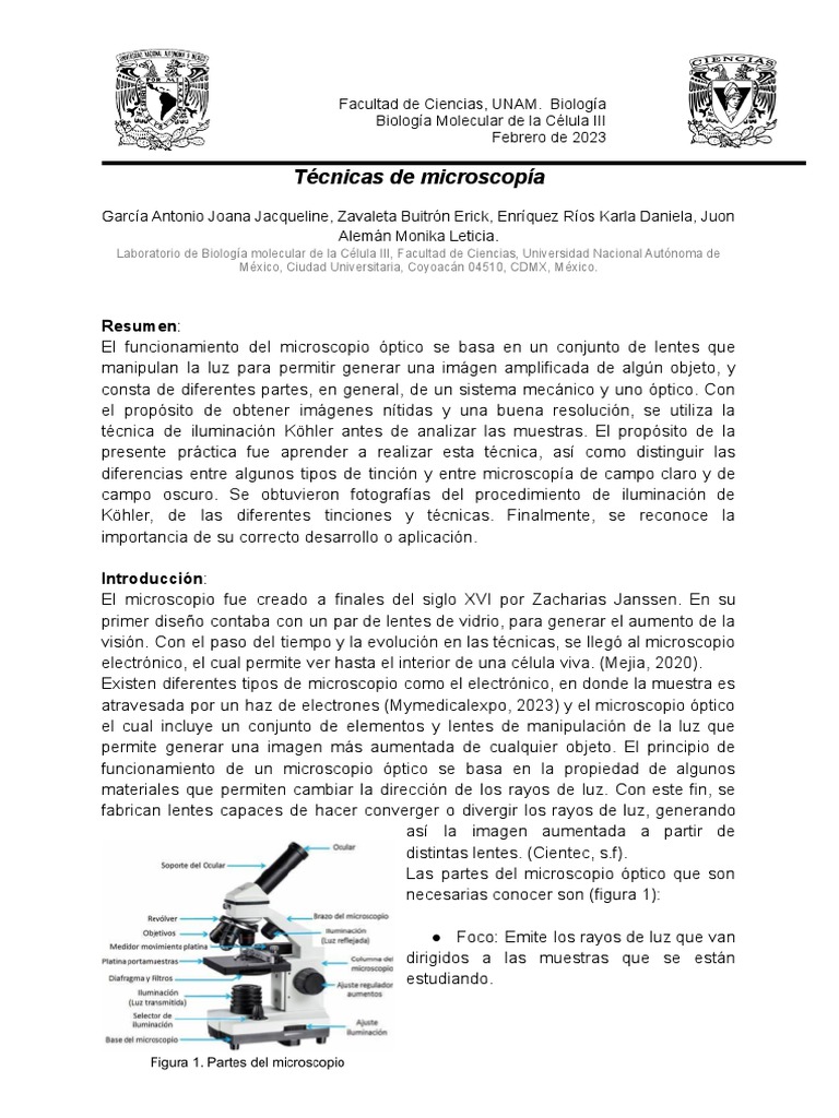 Práctica 1 - Tecnicas de Micros | PDF | Tinción | Microscopio