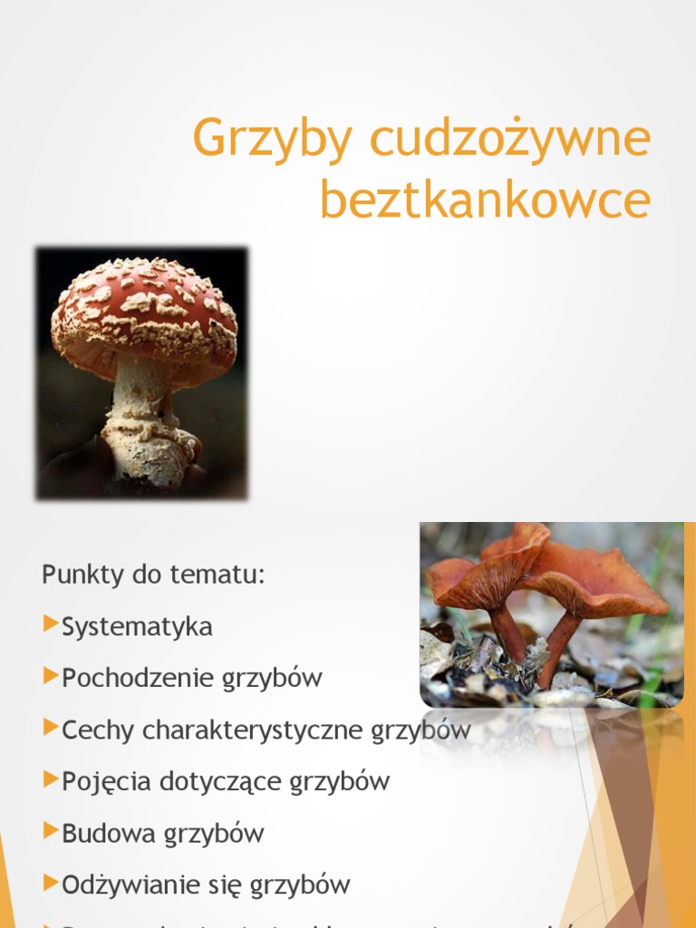 Grzyby Super Prezentacja. | PDF