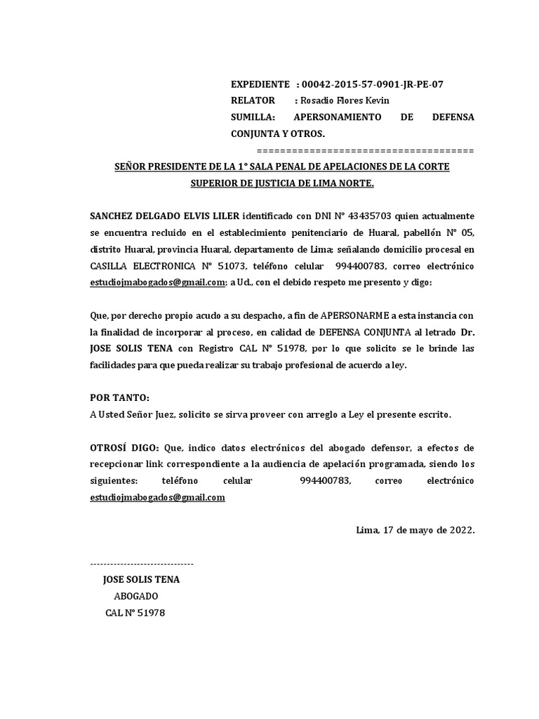 Escrito Apersonamiento de Defensa Conjunta | PDF