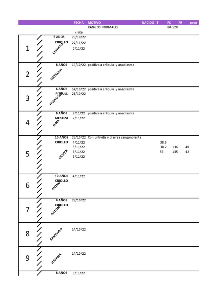 Programador de Actividades | PDF