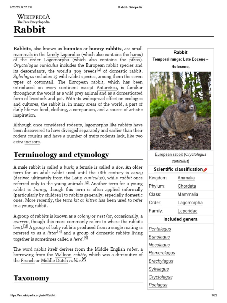 Rabbit - Wikipedia | PDF | Rabbit | Lung