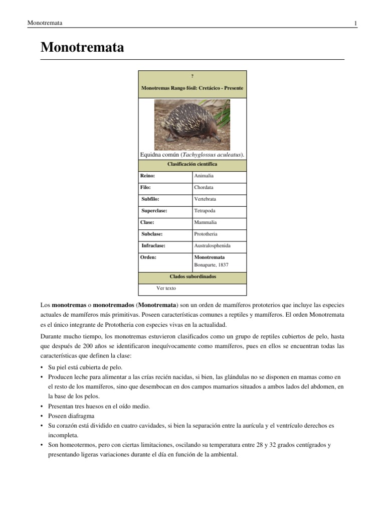 Monotremas | PDF | Mamíferos | Taxonomía de mamíferos