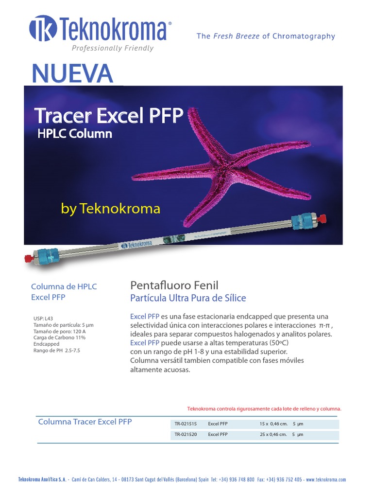 Excel PFP ESP EXP | PDF